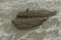 SAMAKI MTU AONEKANA HUKO ISRAEL - MALIQUIDHITZ