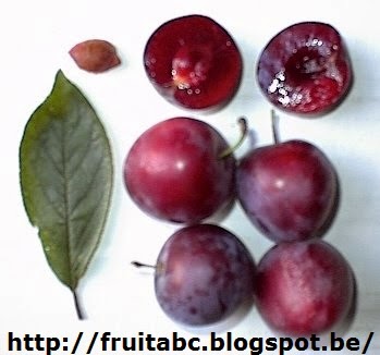 Inheems- en uitheems fruit: Eetbaar fruit voor kas of serre