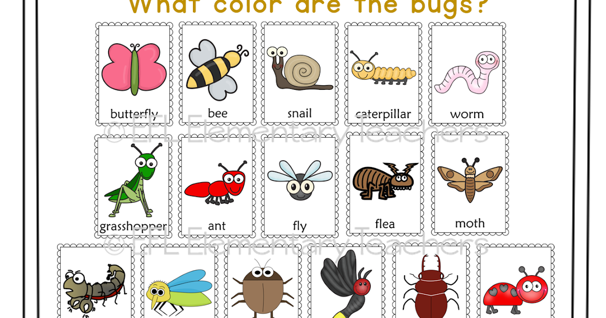 EFL Elementary Teachers: Insects unit for Elementary ESL