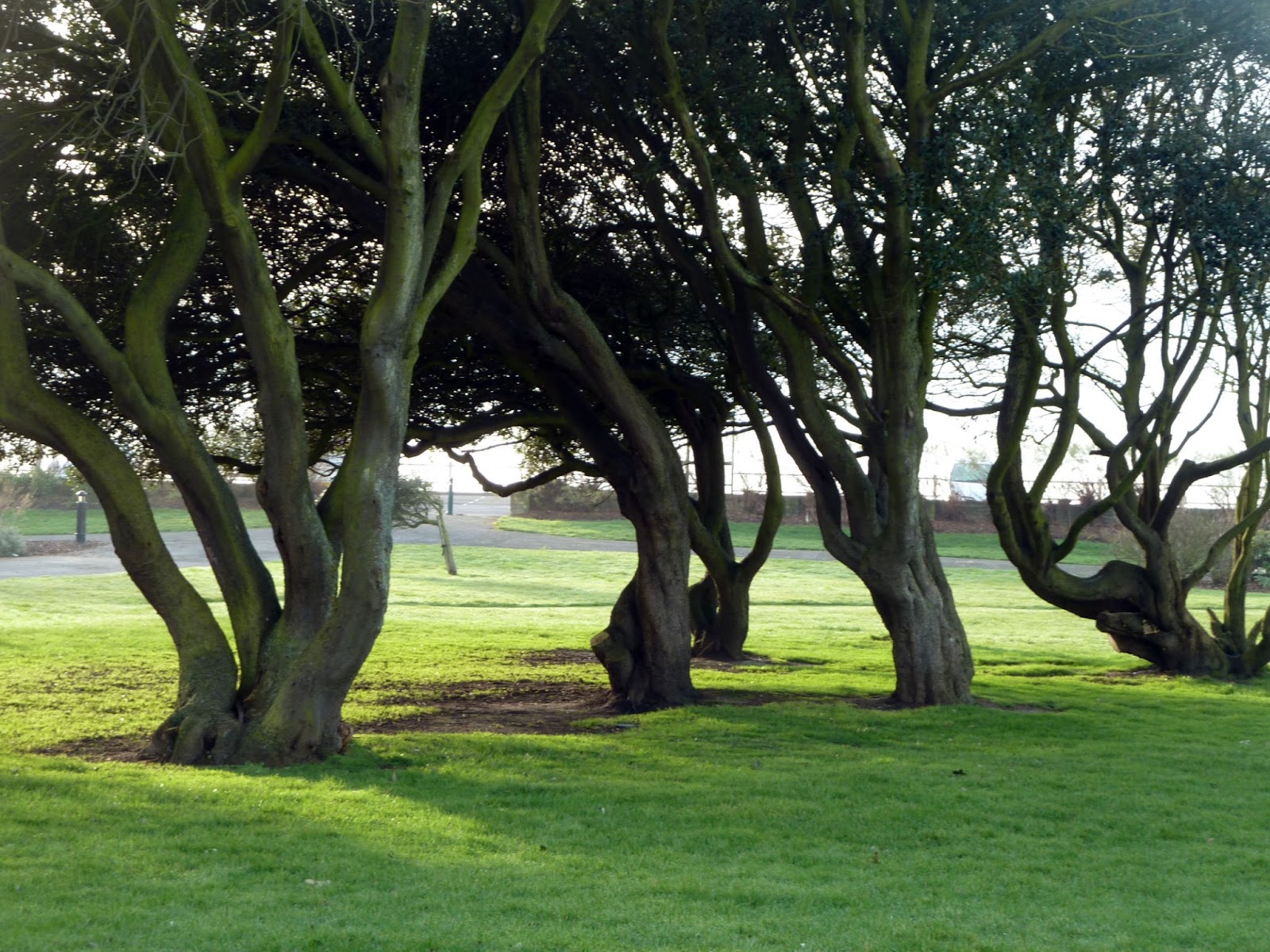 C 365 Images: 2013-01-06