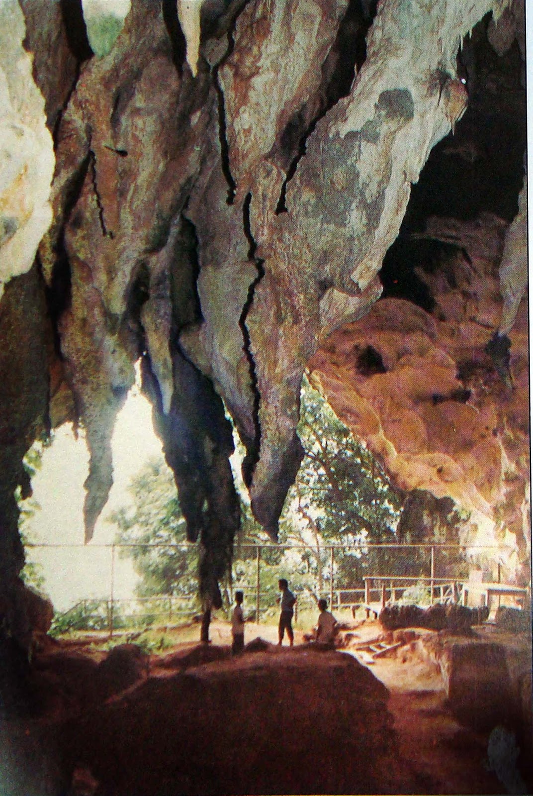 Naturalism - the Eighth Sense: Tabon Cave - Cradle of My Race