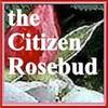 THE CITIZEN ROSEBUD: A Momentary Lapse of Whimsy