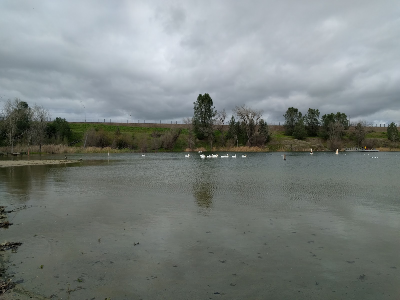Naturetastic Blog: Shadow Cliffs Regional Park - Pleasanton, CA ...