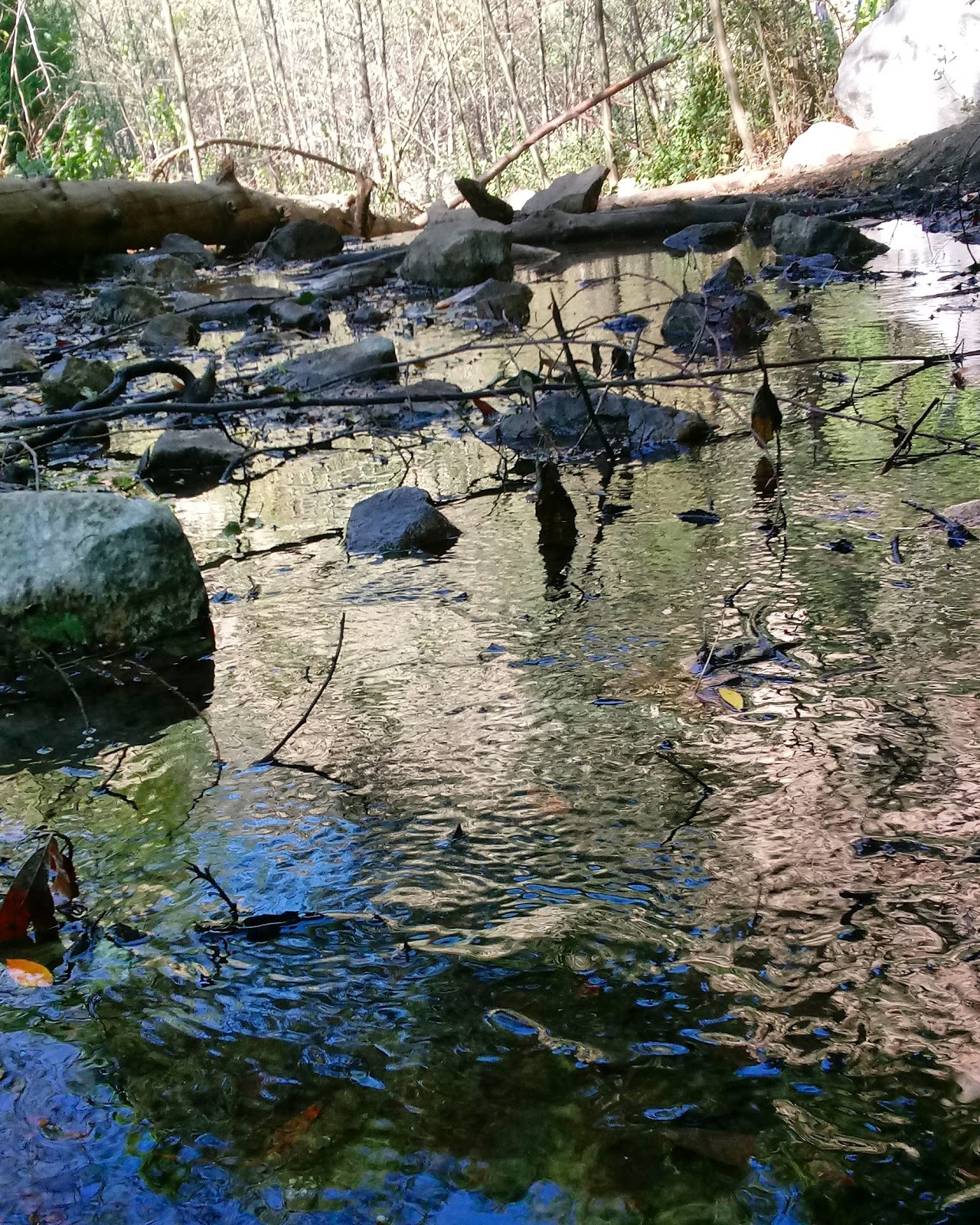 The KtKronicles: Friday Hike Day: Millard Canyon Falls