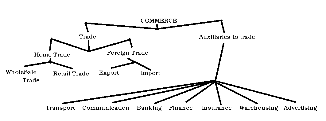 OMTEX CLASSES: Tree Diagram Four