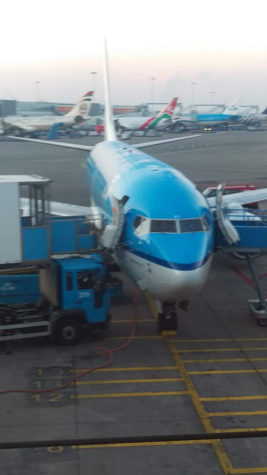 KLM Business Class AMS-LIS - Premium Cabin Deals