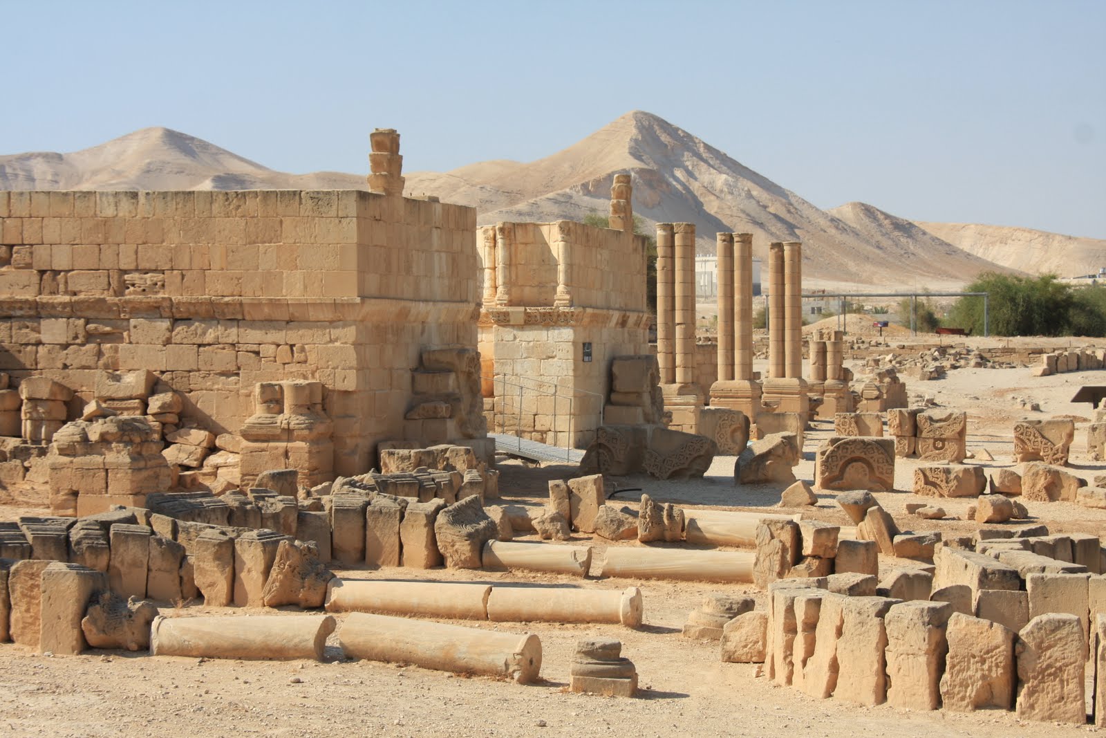 Visitando Jericó e o Mar Morto | Palestina