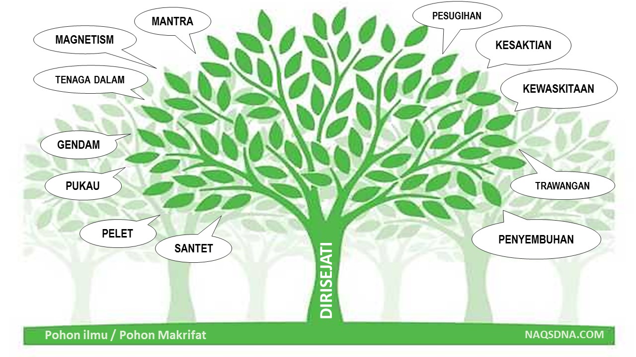 Pohon Ilmu Homecare24