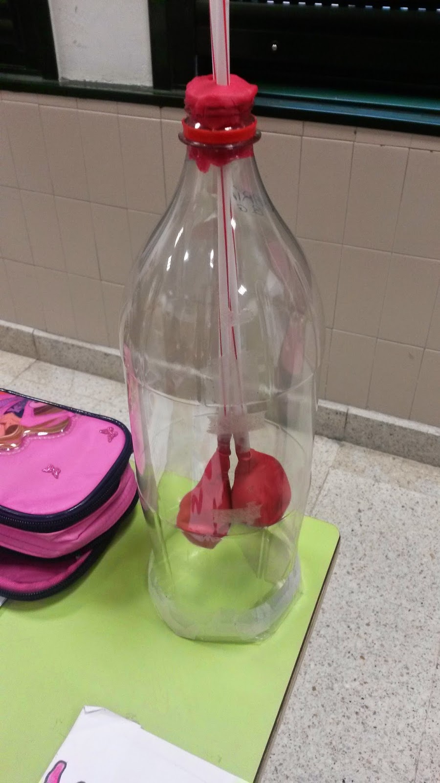 Scienceformeandyou: Experiment with the respiratory system!