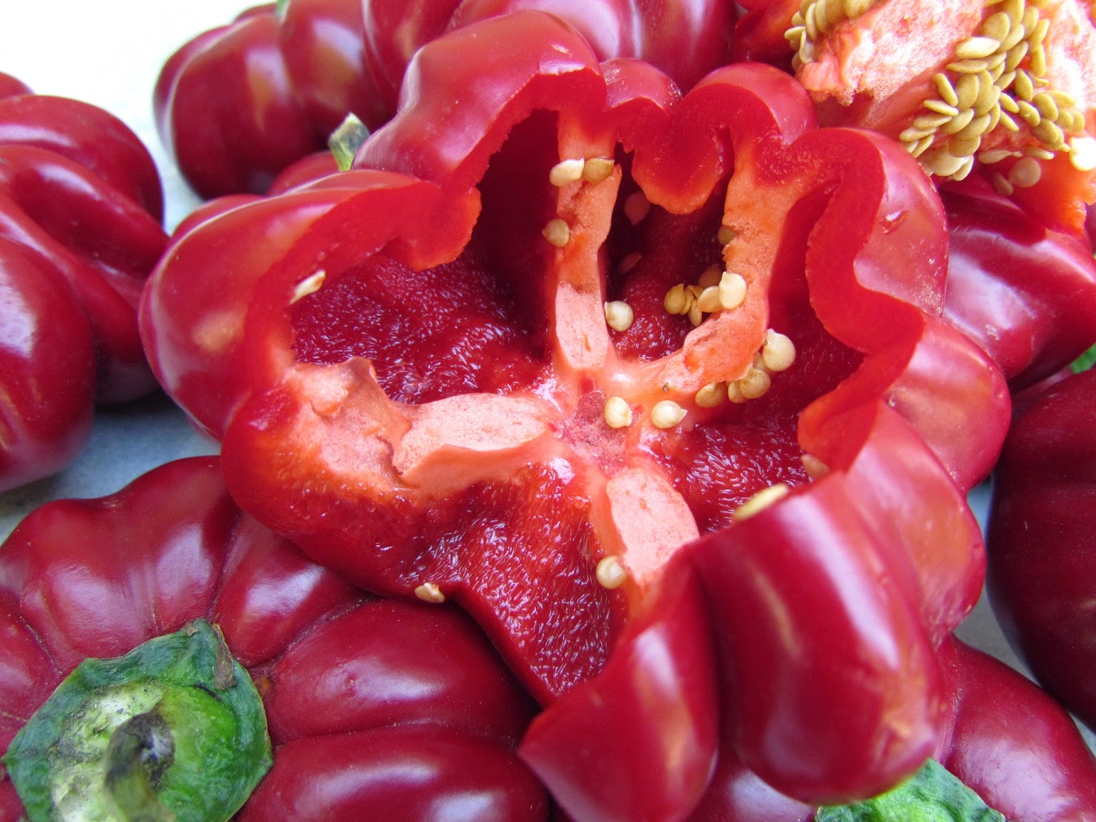 Seed Revolution Now!: Red Ruffled Pimiento