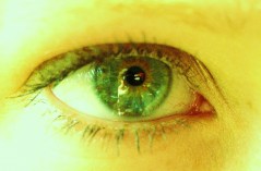 DAILY GRACE: TEMPORARY VS ETERNAL