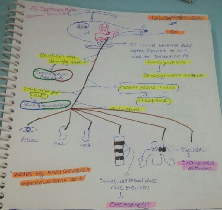 Medicowesome: Alkaptonuria notes and mnemonic
