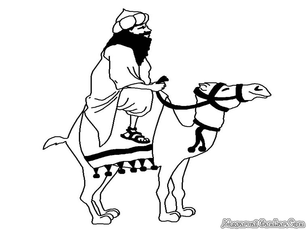 Gambar Unta Untuk Diwarnai | Mewarnai Gambar