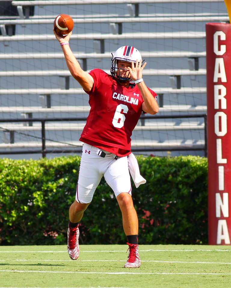 Welcome to my world.... : Cocks of South Carolina: NCAA Football Update