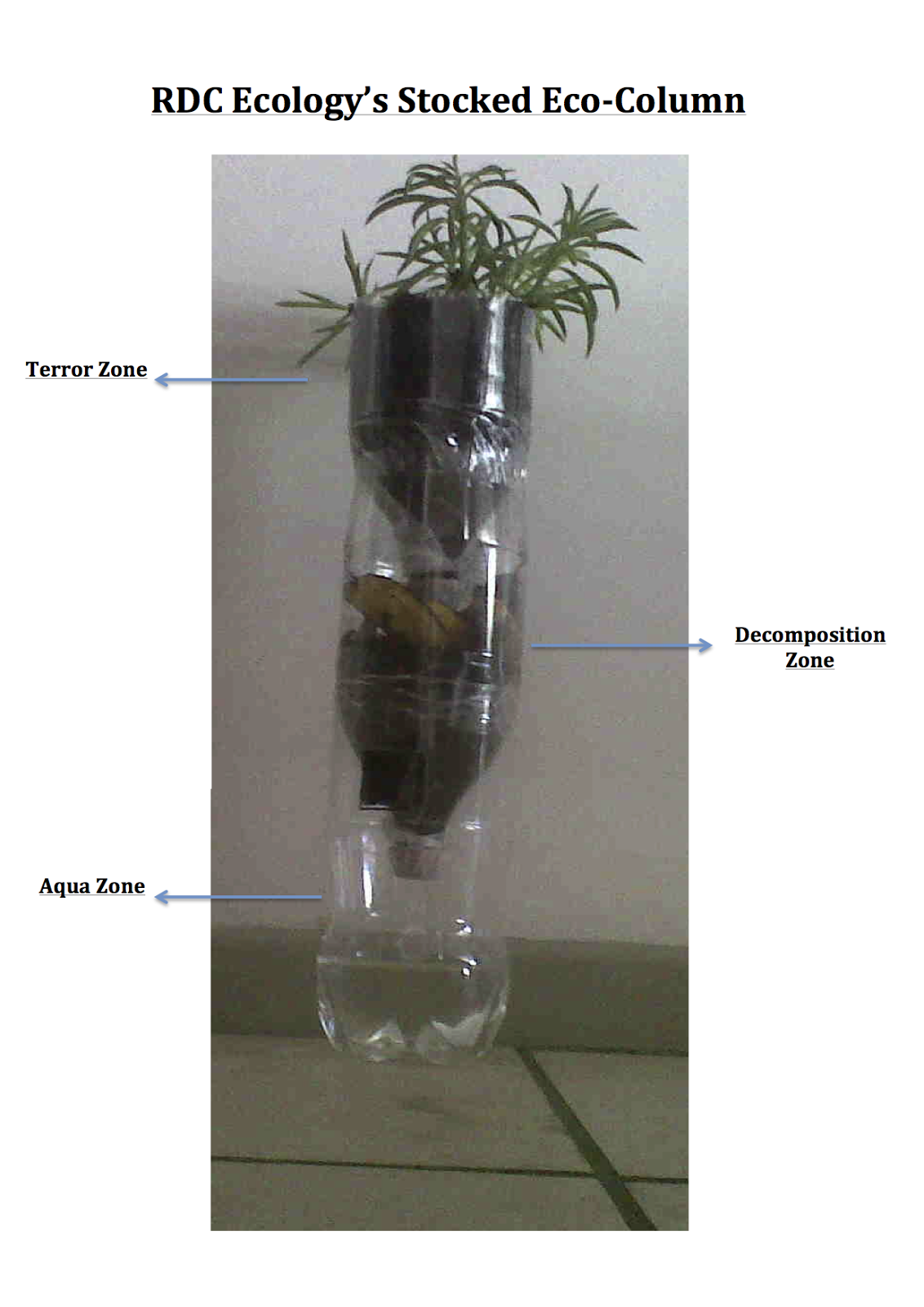 RDC Ecology Columns: February 2013