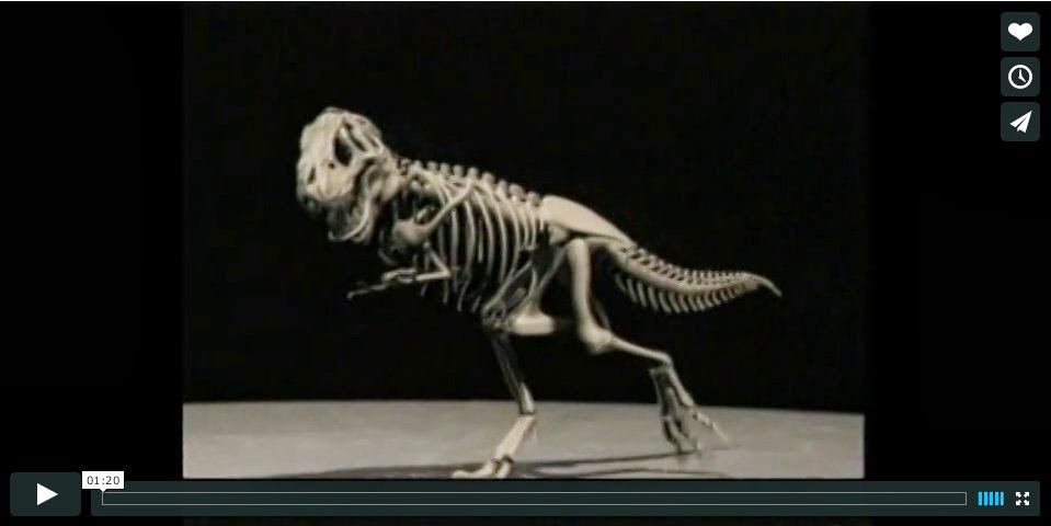 Animopus: Interviews with ILM Animation Supervisor Steve "Spaz ...