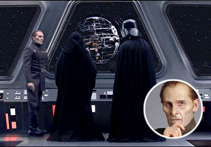 Phasmatodea: Tarkin it to the limit