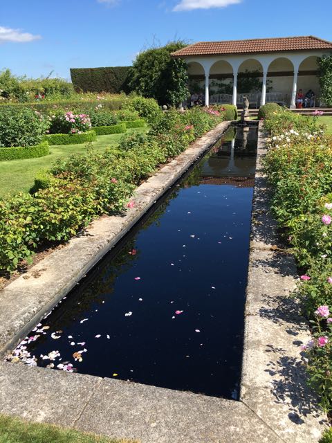 The rosary of David Austin.