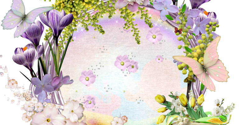 ForgetMeNot: Cluster spring frames