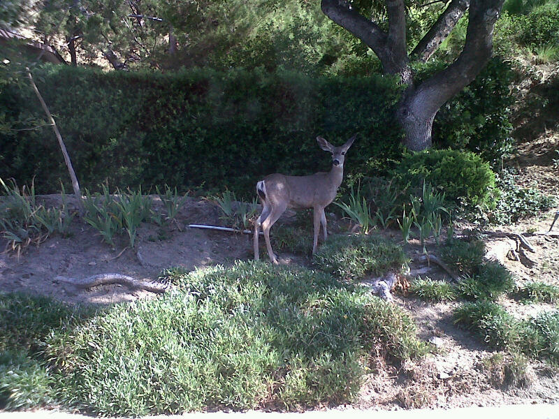 Mattie's Blog and his Fight Against Osteosarcoma