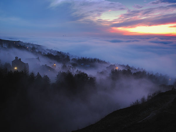 Poho County Line: 2/6/11 - 2/13/11