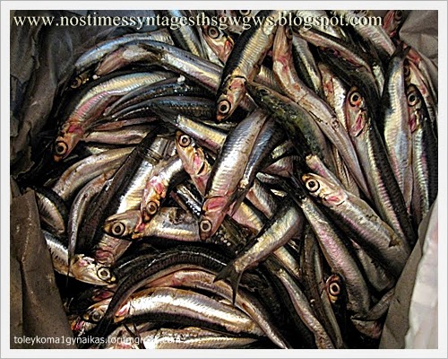 Marinated anchovy (gavro type fish) | deliciousrecipesofgogo