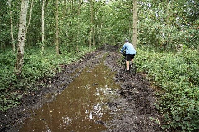 Alpha Game 159 The 1990s [midnightcastle 368.8046]