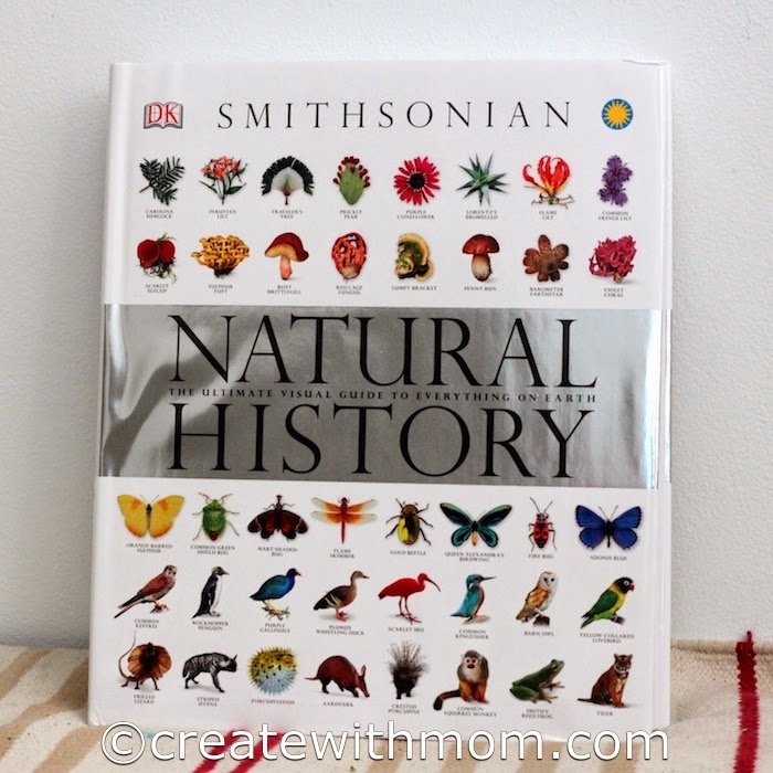 Create With Mom: Benefit from DK Book Sales and Win Smithsonian ...