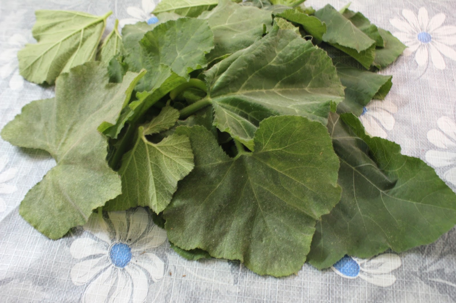 Bethica's Kitchen Flavours: Kumro Pata Bata (Red Pumpkin Leaf Chutney ...