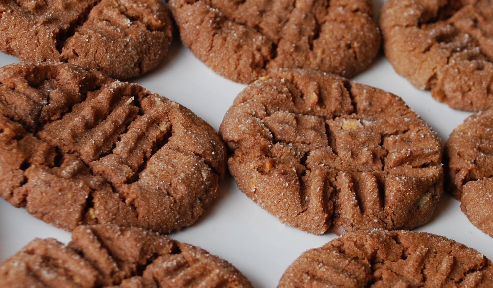 Everyday Insanity...: TWD Chocolate Peanut Butter Cookie--Rewind