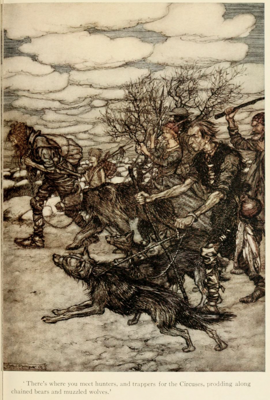 The Art of Pierangelo Boog: Harold Robert Millar: Illustrations for ...