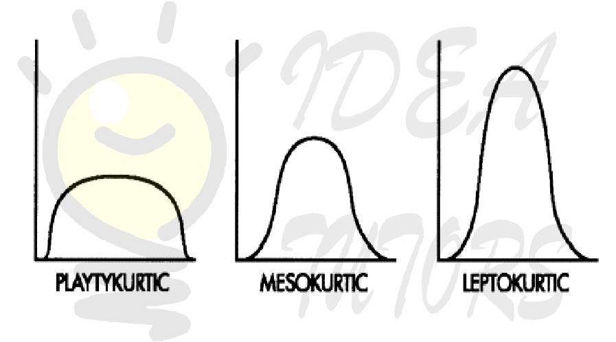 notes on measures of skewness and kurtosis - IDEA TUTORS