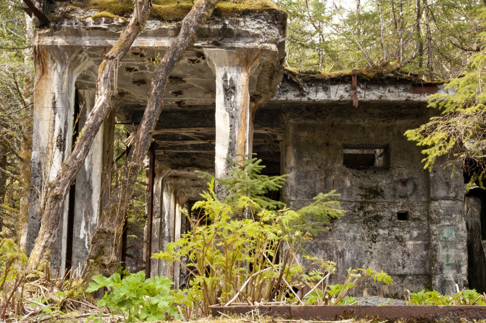 Sherrys Travel photography: Treadwell Gold mine, Juneau Alaska