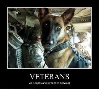 Double Dog Care: Celebrating our Canine Soldiers on Veteran's Day!