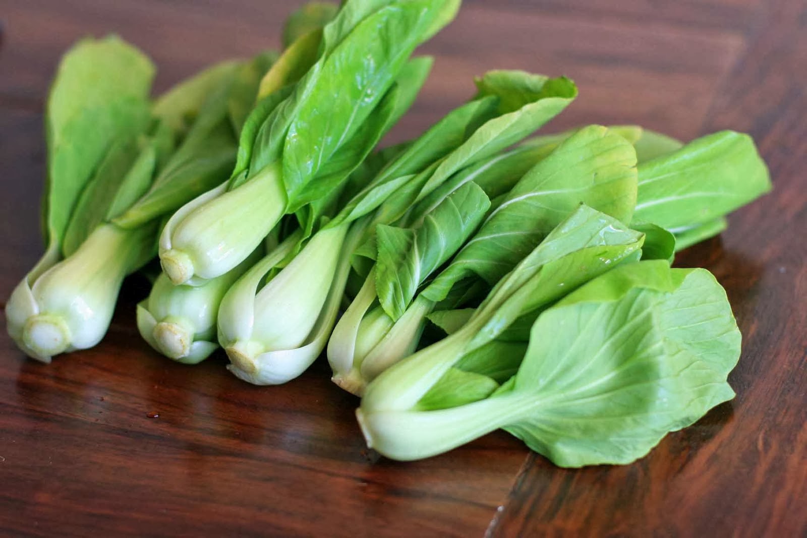 Acelga chinesa: chigensai ou bok choy ~ Blog da Loja Ohashi