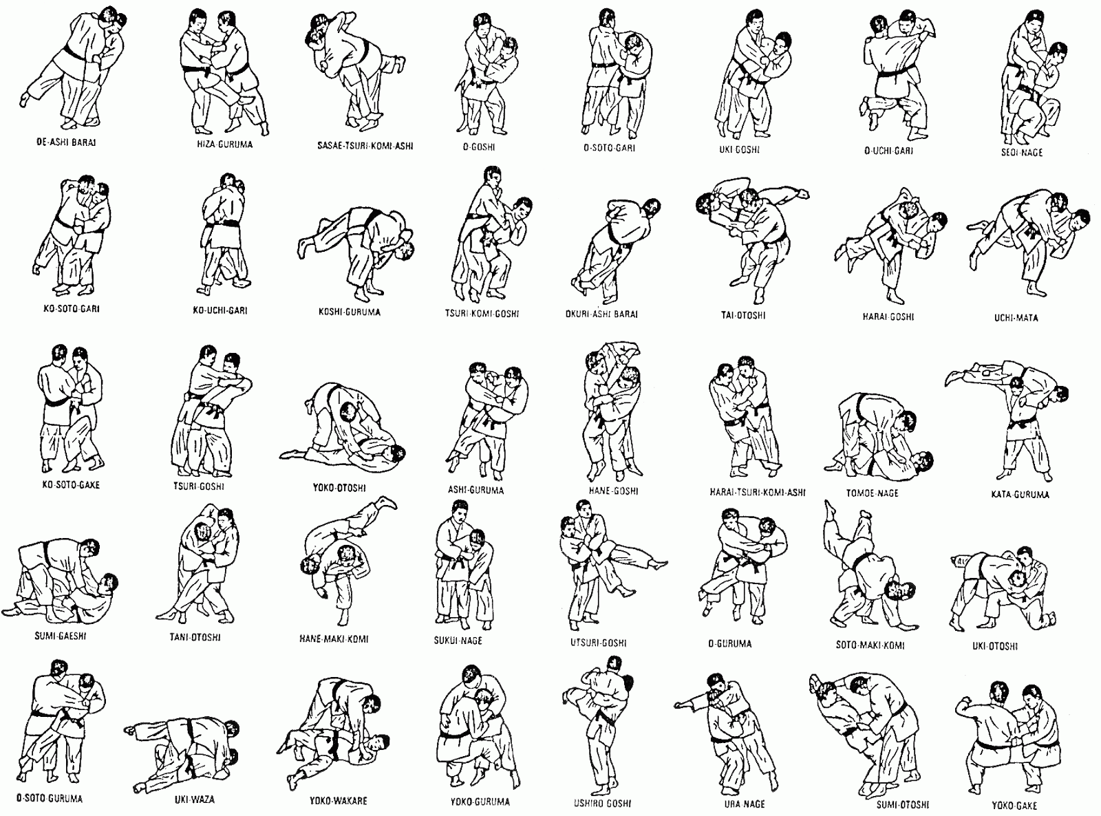 Golpes De Judo Para Faixa Branca - FDPLEARN