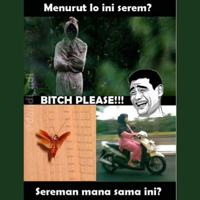 Meme Lucu Hewan: Kumpulan Meme Kecoa - Berita Viral Indonesia