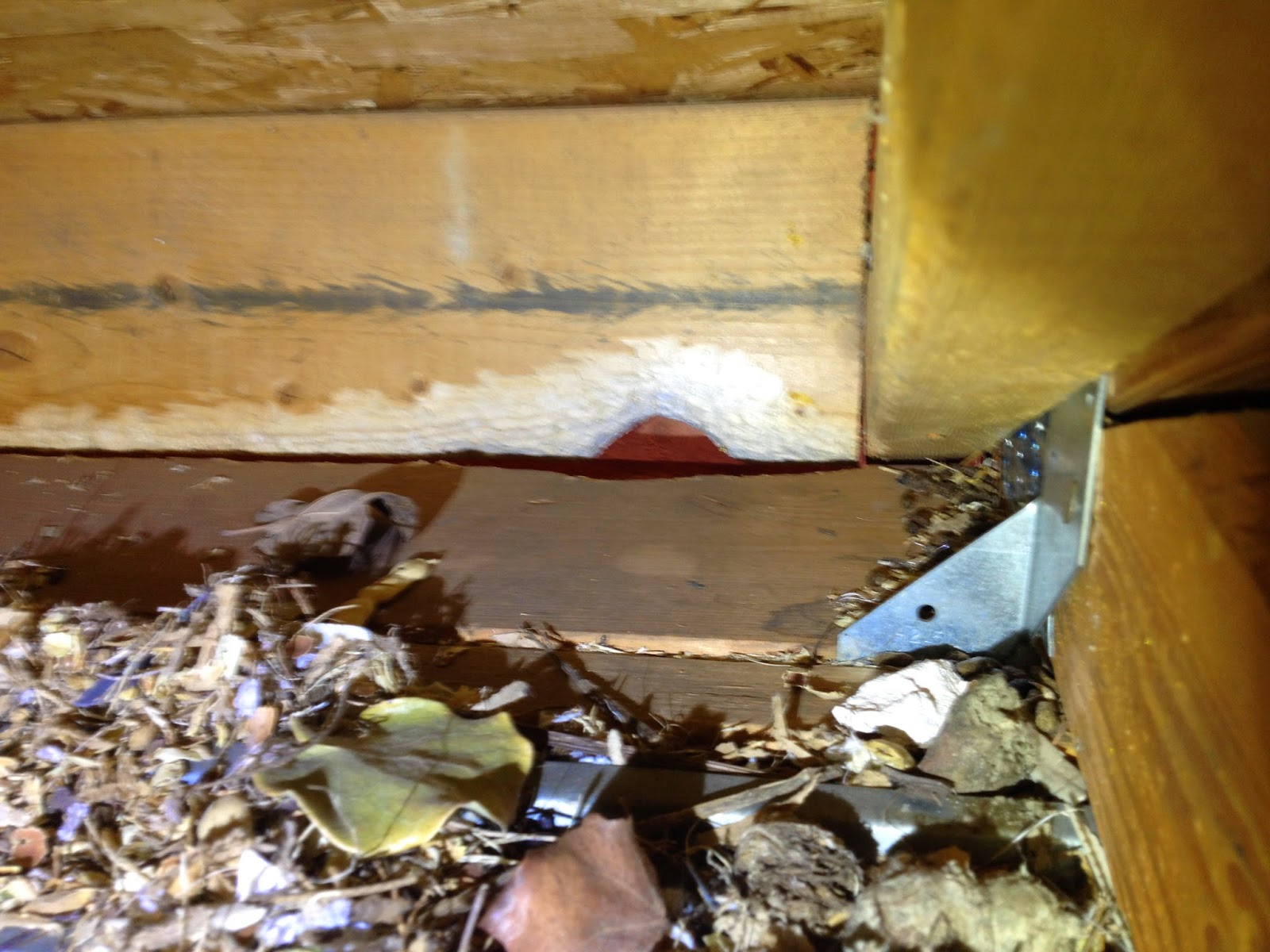 Mr. Pack Rat: Cool Nest - Attic