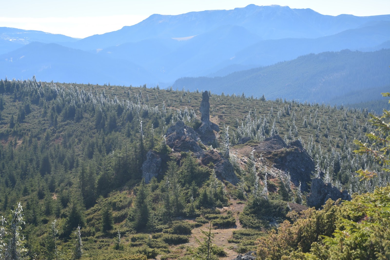 Munte, fotografie si nu numai: Muntii Calimani: traseul 12 Apostoli