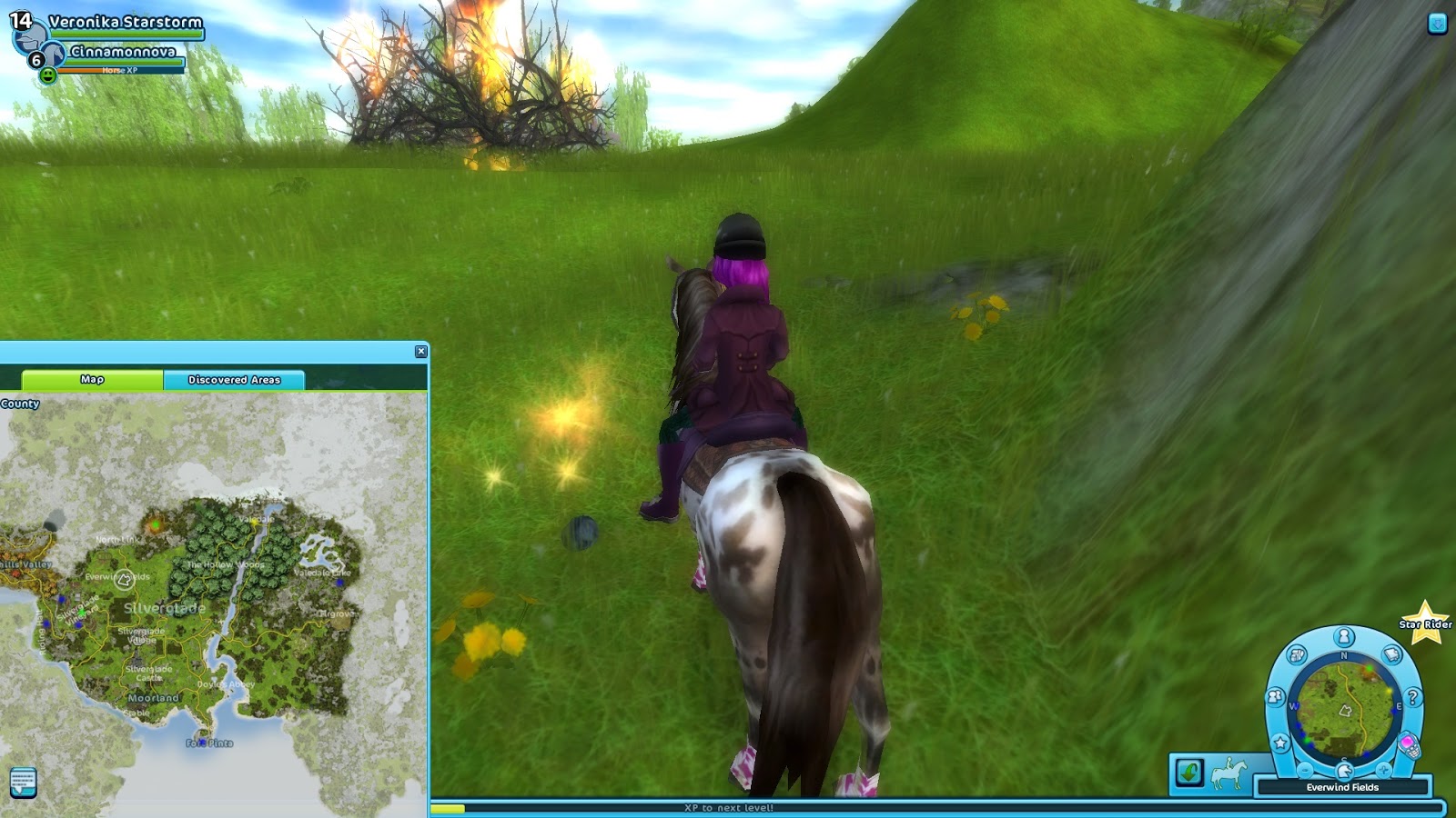 Mario at the Observatory - Stars Over the Field daily quest - Wednesday