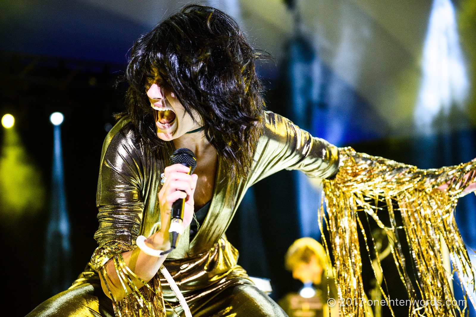 one in ten words: The Ex 2017: Dear Rouge - Concert Pictures