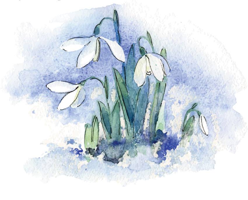 Cuore d'Italia: LA LEGGENDA DEL BUCANEVE