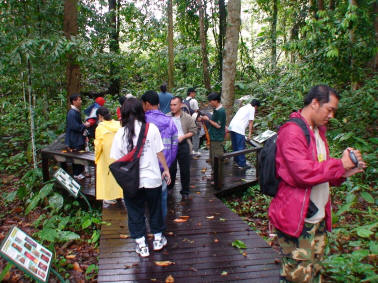 my choice: RDC sepilok