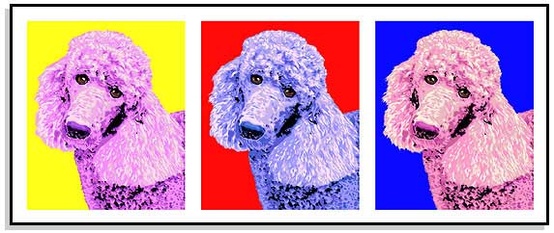 The MeadowTree Journal: Poodle Time! The Colorful Abstract Poodles