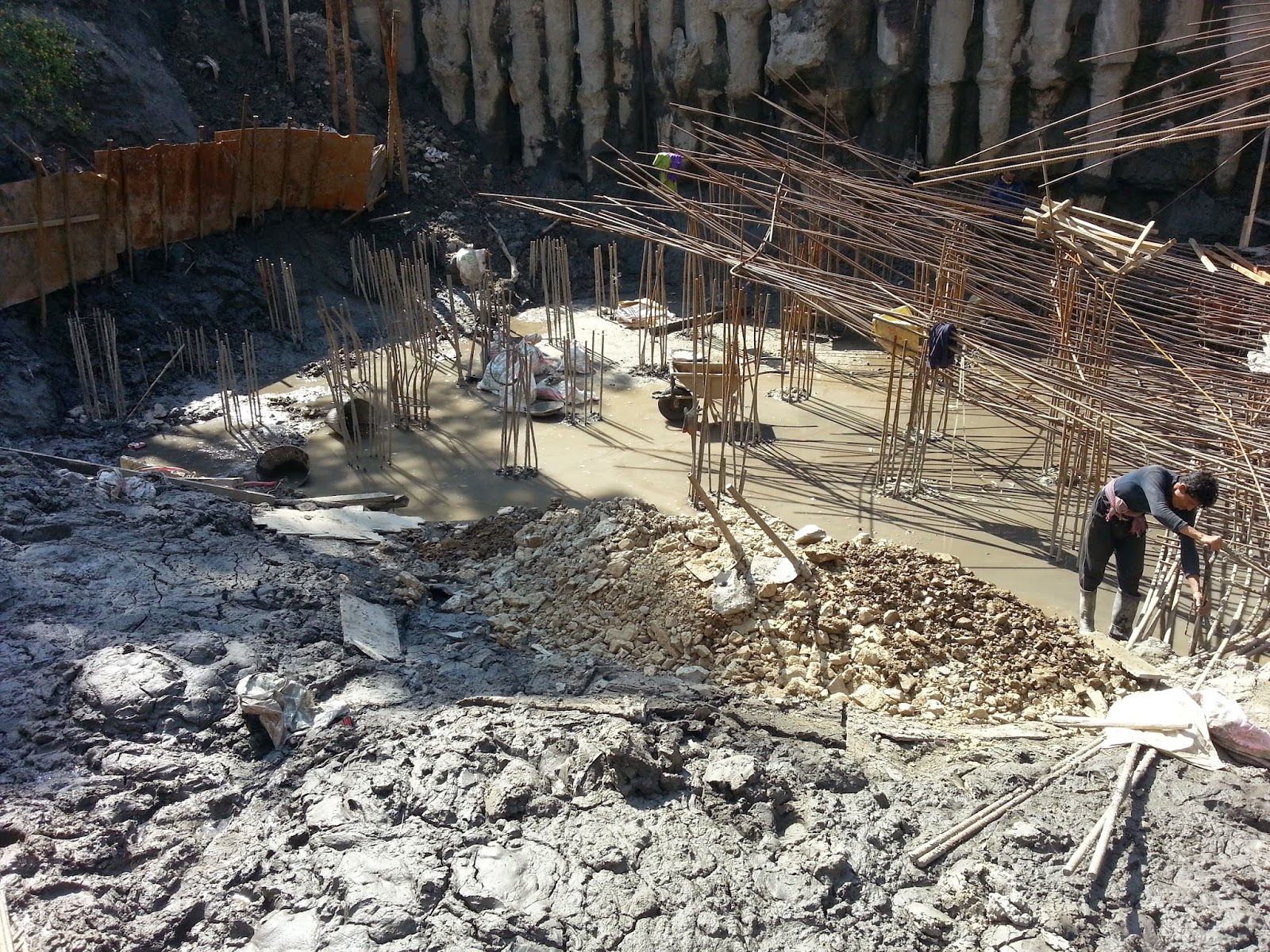 Engineering Science: Shear Wall and Pile Foundation