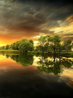 My Mobile Store: Nature Wallpapers (Resolution - 240 x 320)