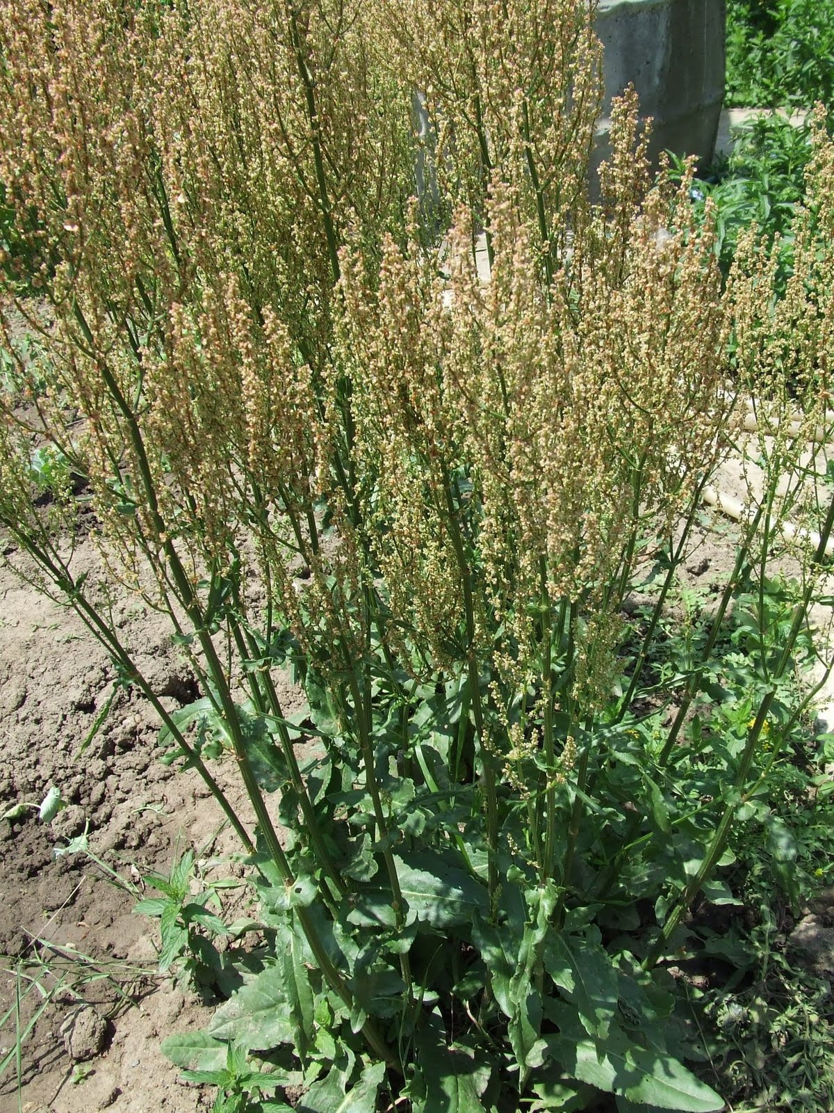 Timp liber: Despre ororile traite de prizonierii de razboi in lagarele ...