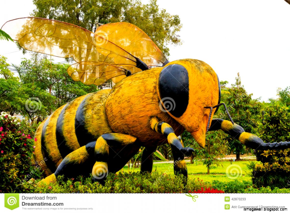 Big Bee Pictures | Mega Wallpapers