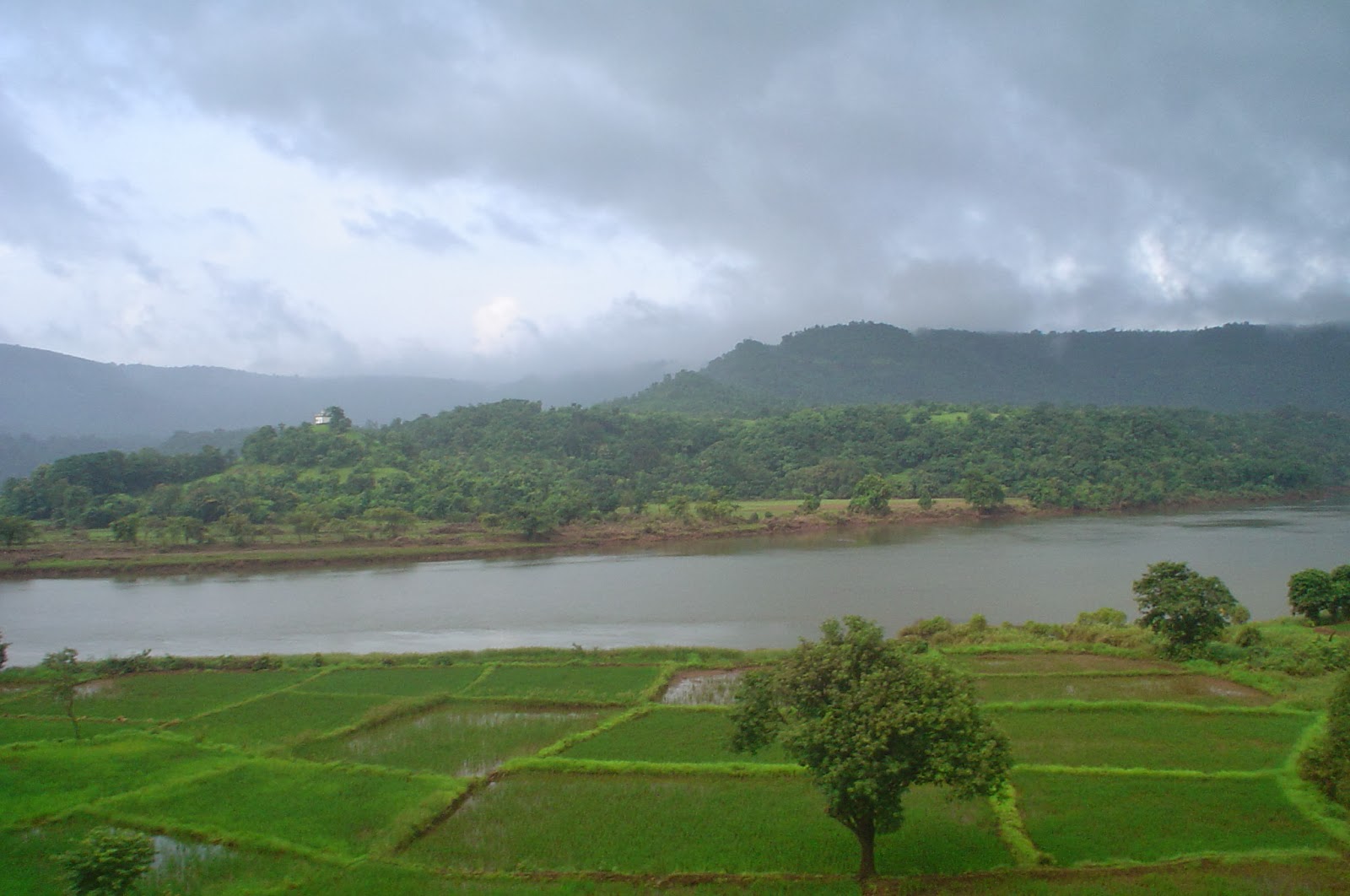 रुबाई - Rubaai: Vivid Konkan - V
