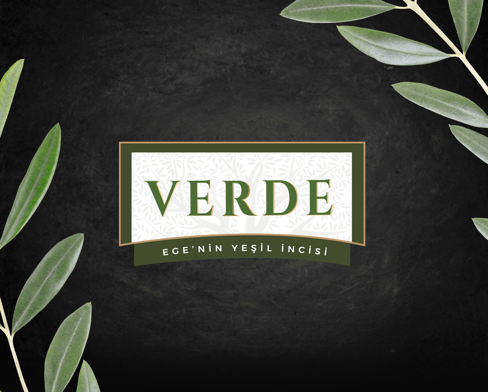 Verde Olive Oil – Packaging Of The World